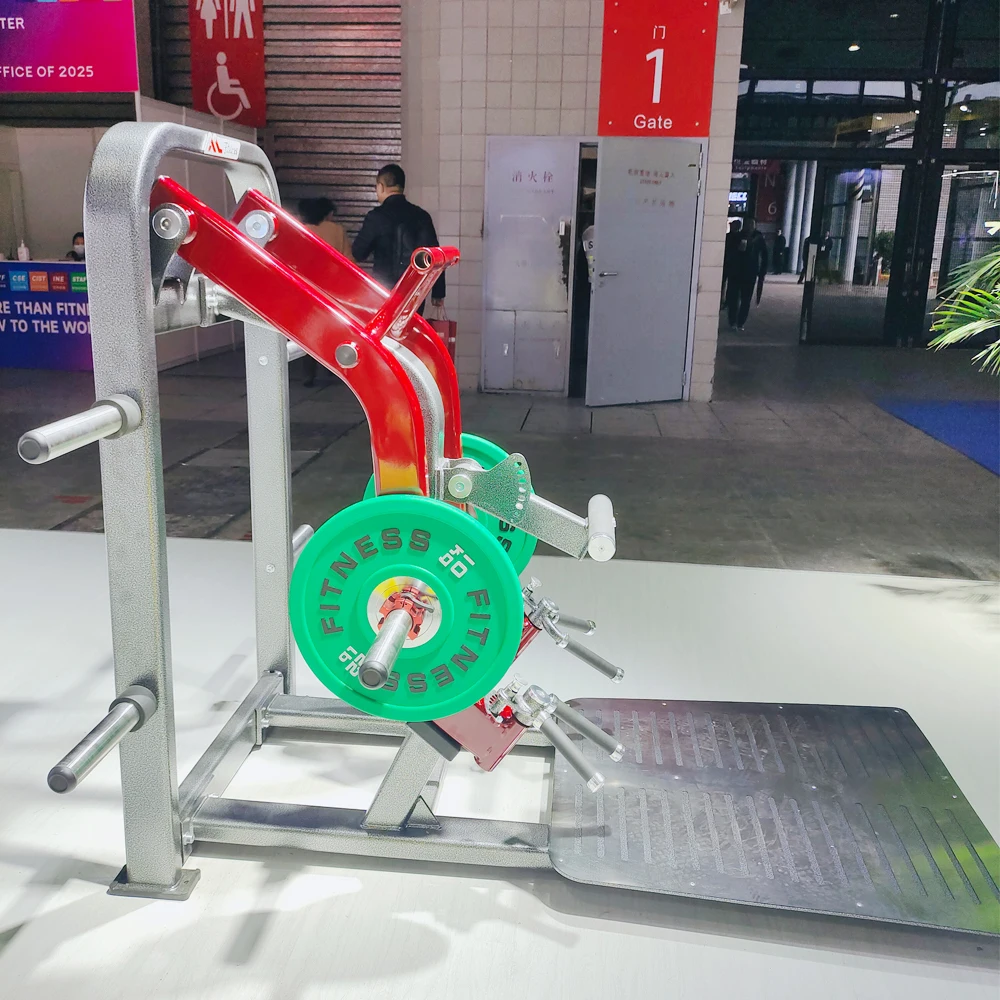 Commercial Fitness Gym Plate Loaded Back Training Machine