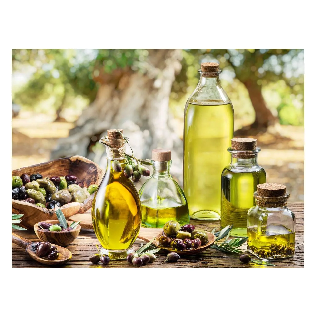 Bulk Natural Edible Plant Oils Manufacturer,Wholesale Organic Olive Oil ...
