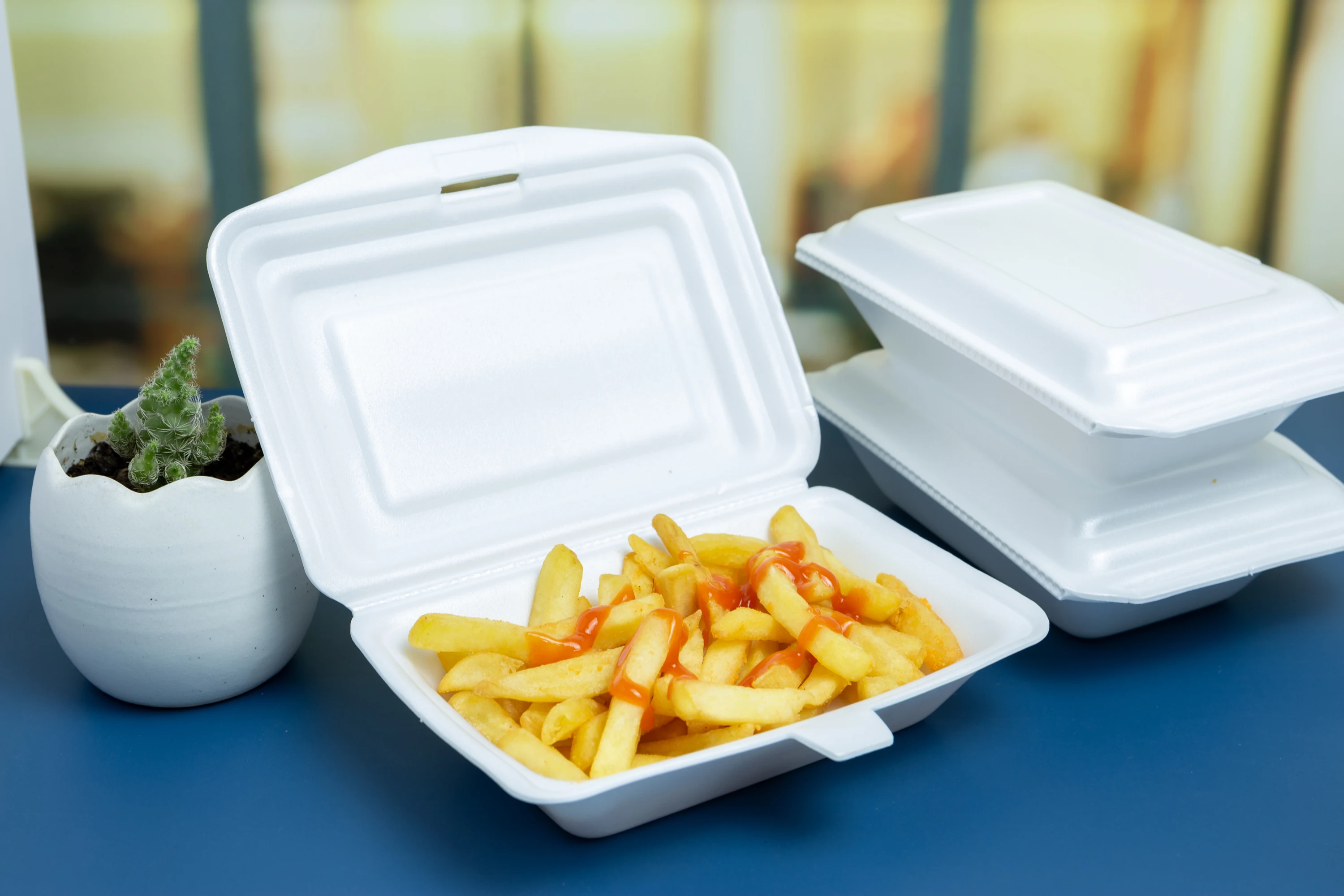 Disposable Partition Food Containers Food Container Supplier Ps Foam Takeaway Food Containers ...