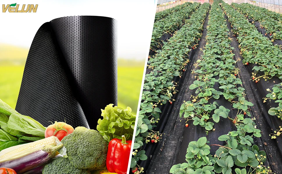 Landscape Fabric Weed Mat Pp Ground Cover Weed Heavy Duty 55.8oz ...