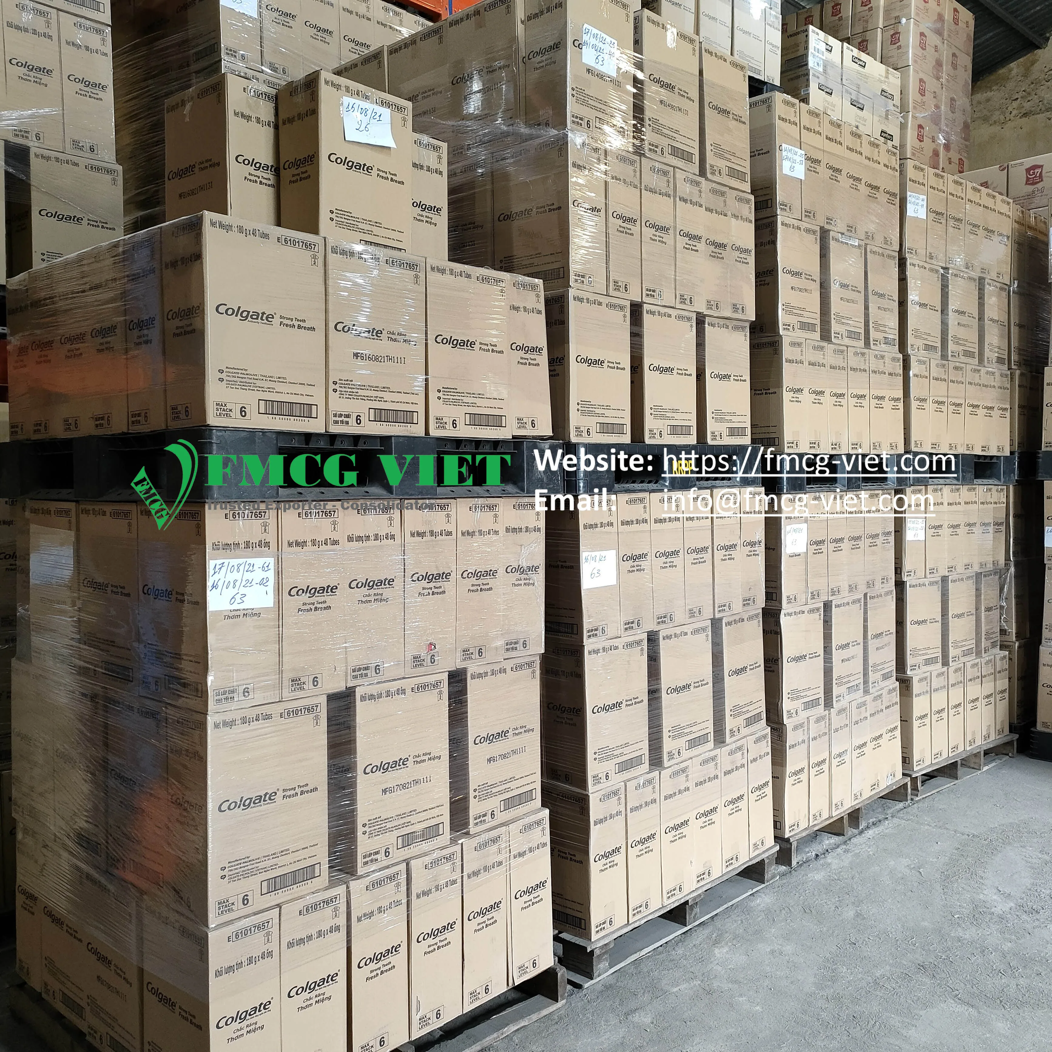 Colgate Toothbrush Premier Clean 12pcs X24 288pc/ Wholesale Colgate Toothbrush Vietnam/ Colgate ...