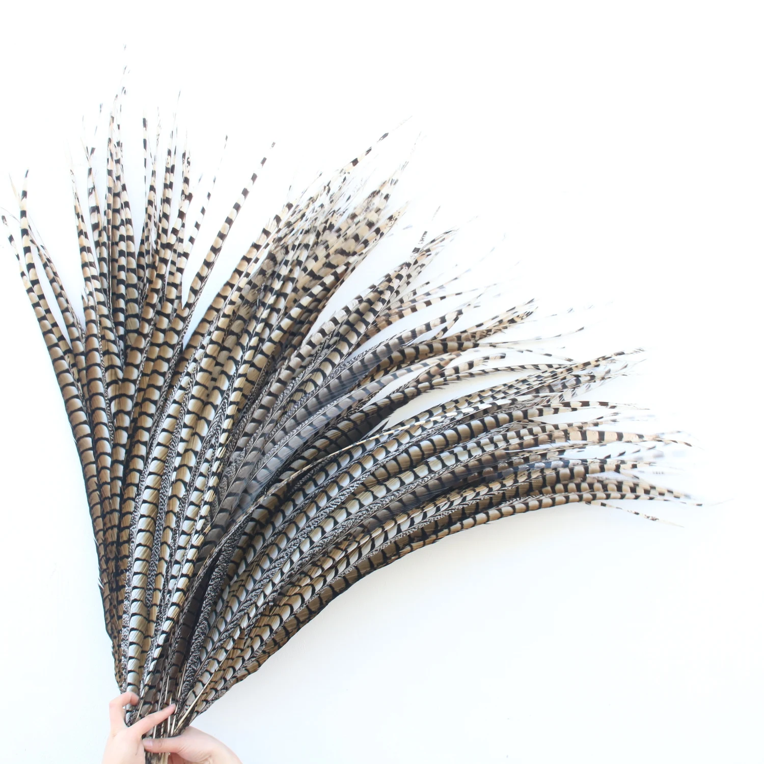 High Quality 110-120 Cm Lady Amherst Pheasant Feathers