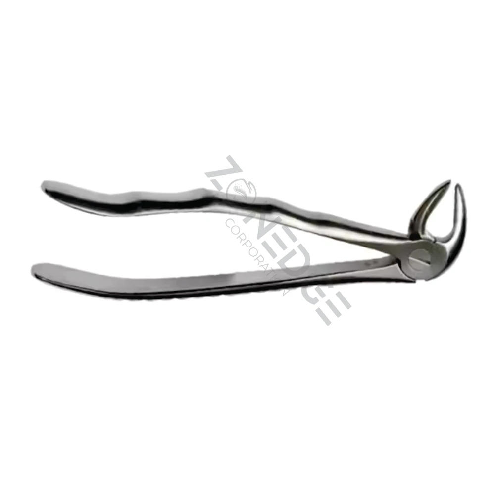 Curved Lower Molar Extraction Dental Forceps Heavy Stainless Steel ...
