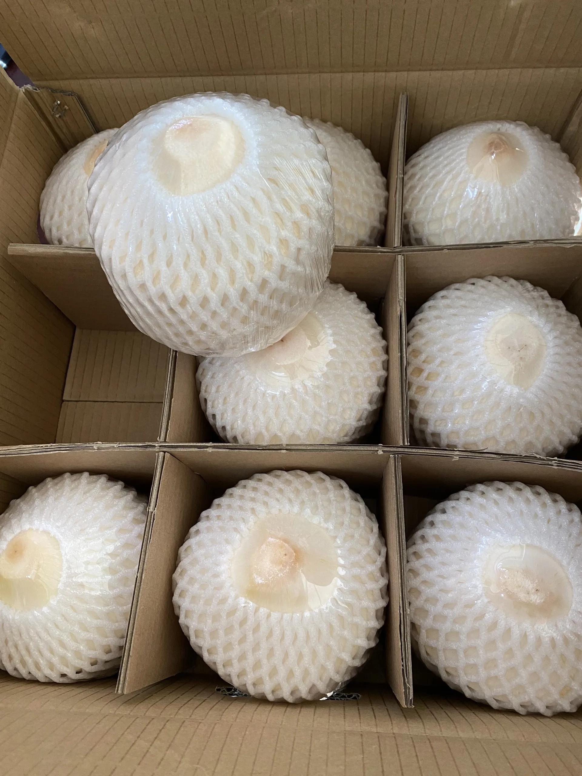 Best Seller Fresh Siamese Young Coconut - Coconut Diamond Shape at ...