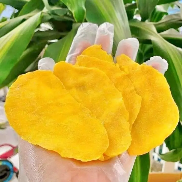Organic Soft Dried Mango Slices Naturally Sweet Rich Flavor Vibrant ...