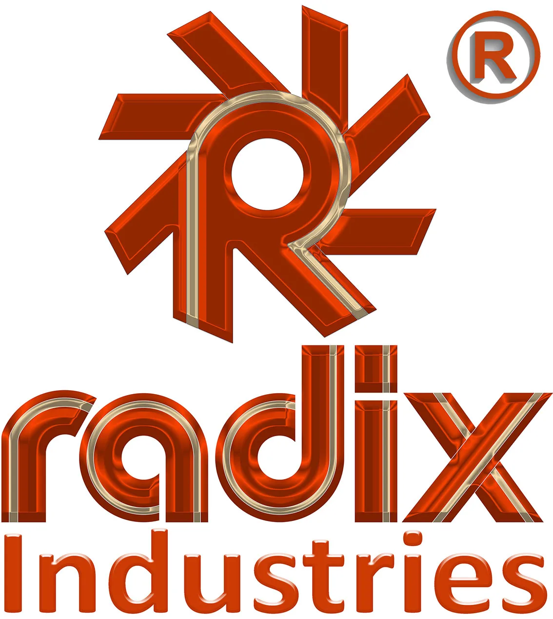 Company Overview - M/S RADIX INDUSTRIES