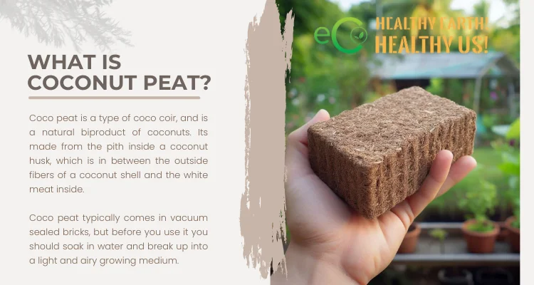 Coco Fiber Peat Block Real Natural Cocopeat Press Biodegradable Eco2go Vietnam 30x30x12cm ...