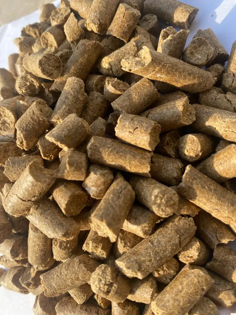 Quality Wheat Bran For Animal Feed / Wheat Bran Pellets From Best ...