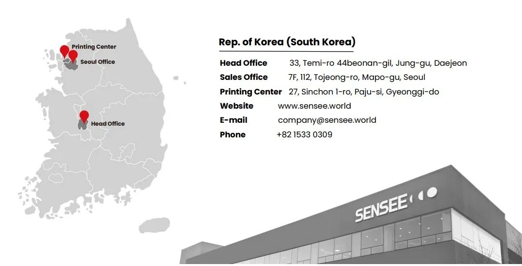 Sensee Braille : A Letter To Amy,Fairy Tale Braille Book For The ...