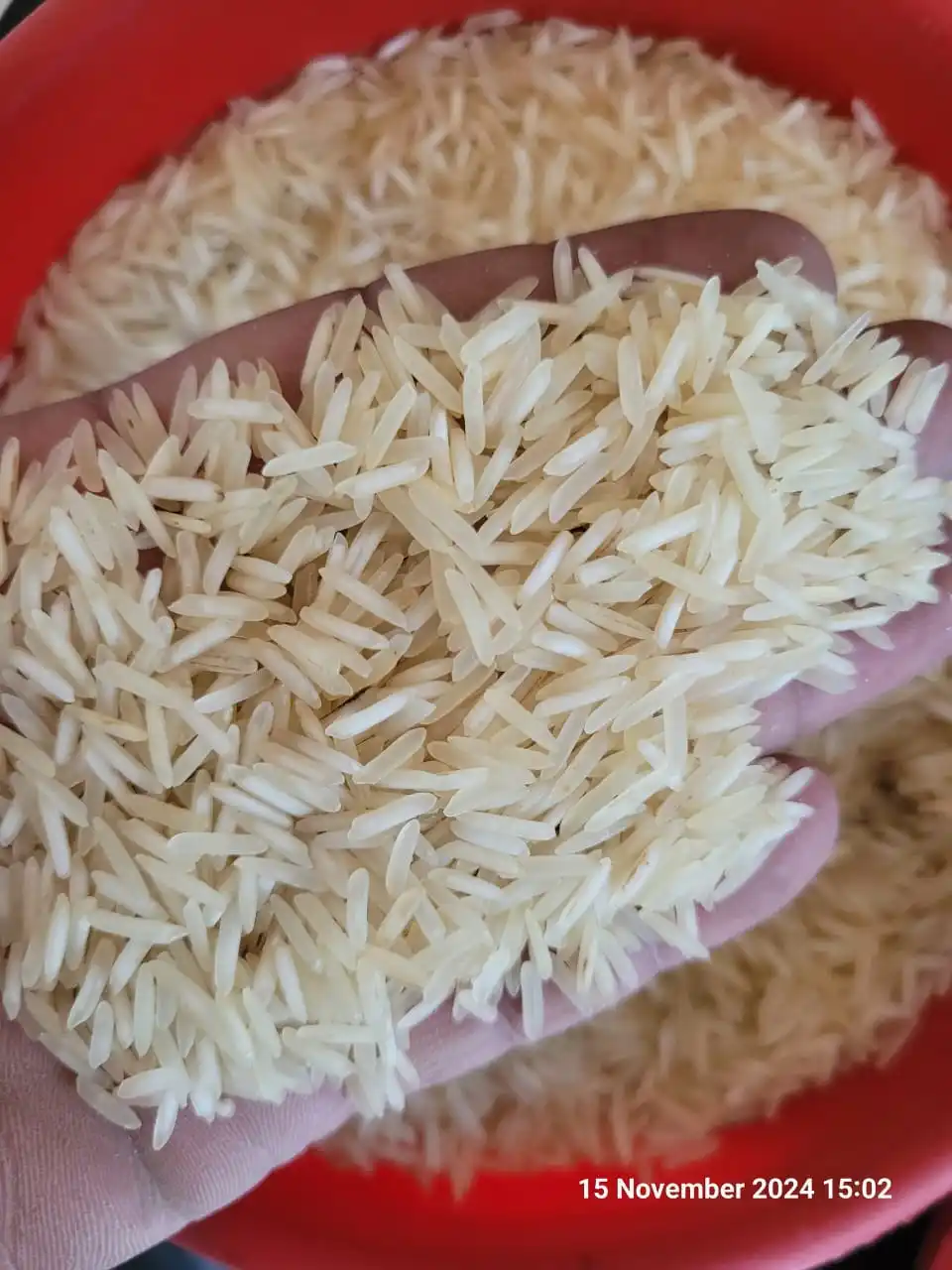 Alibaba.com: Indian Exporter Long Grain Basmati Rice, Cultivated for ...