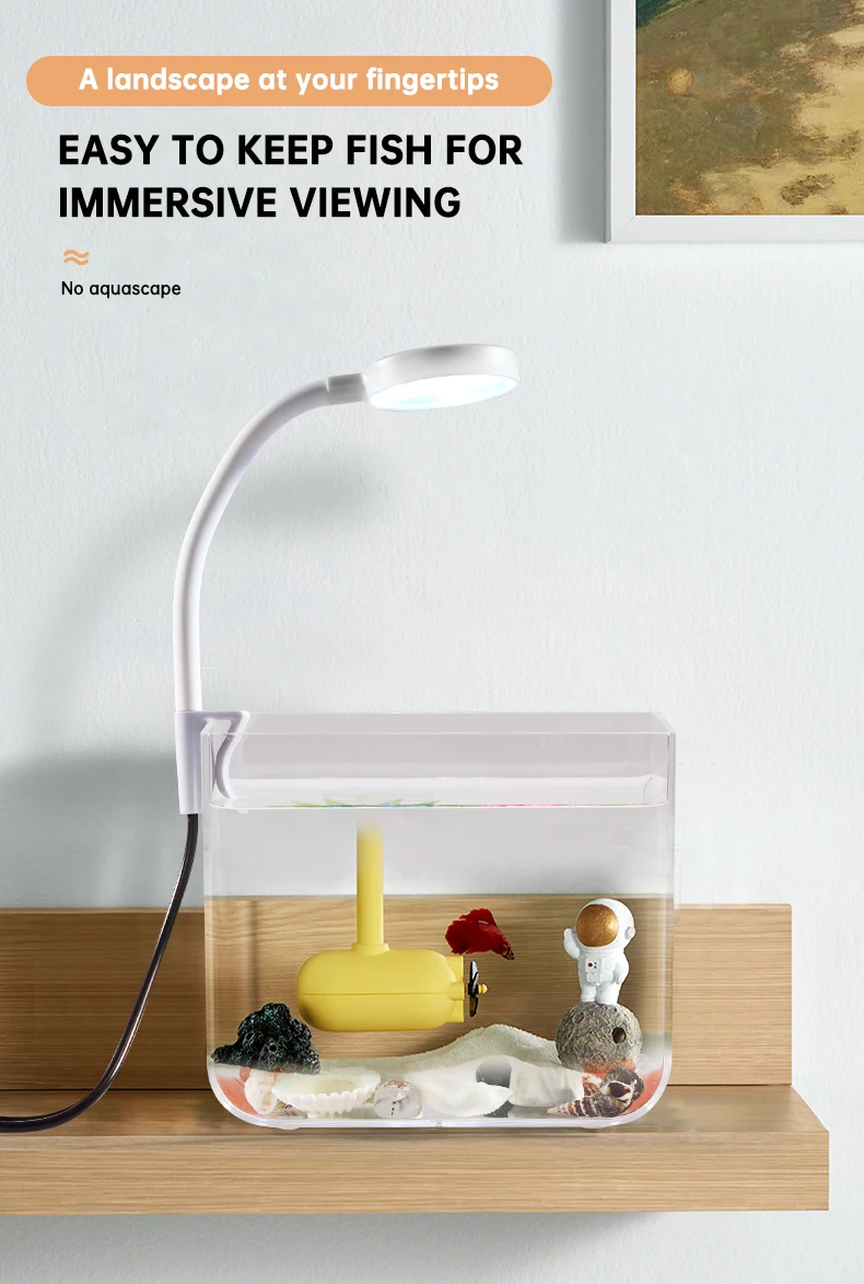 New Arrival DIY Transparent Betta Fish Plastic Tank with Filter ...