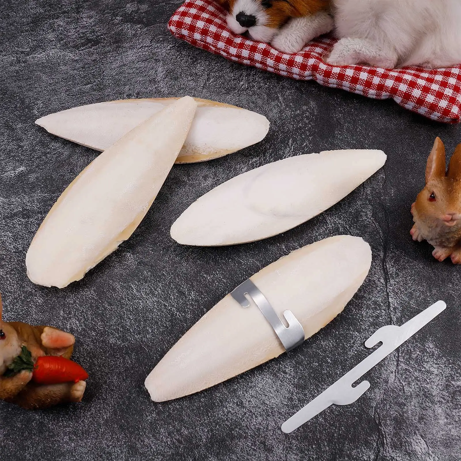 Cuttlebone Cuttlefish Sepia Bone Cuttle Fish Bird Food Calcium ...