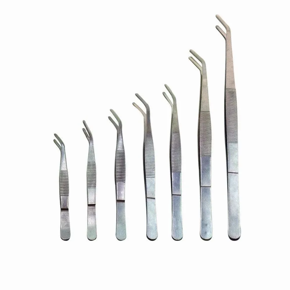 Dissecting Tooth Dressing Thumb Forceps Clamp Stainless Steel Tweezers ...