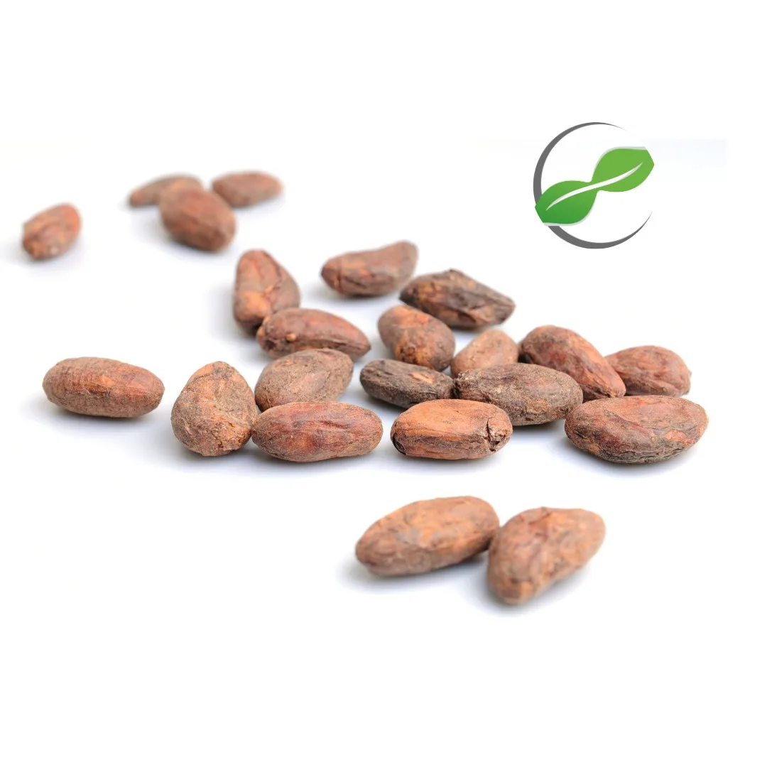 Unfermented cacao beans from indonesia that bring intense flavor and ...