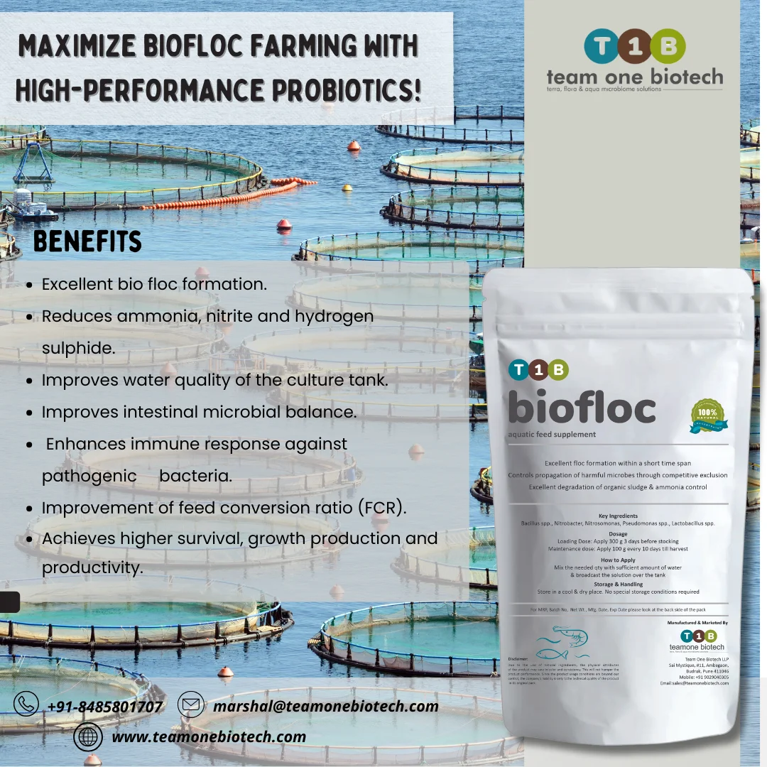 Aquaculture Fish Hatchery Biofloc Probiotic Powder Essential for ...
