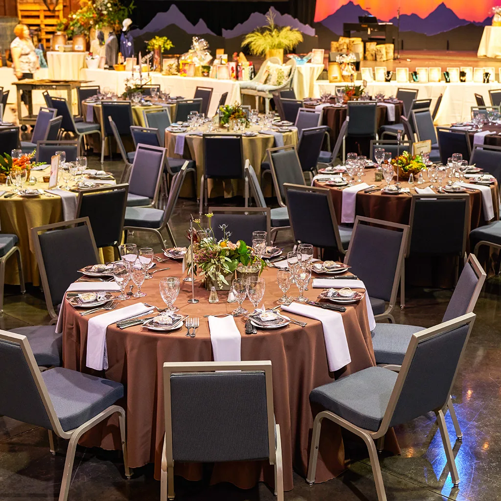 Modern Contemporary Metal Banquet Chairs With Soft Cushion Upholstery ...