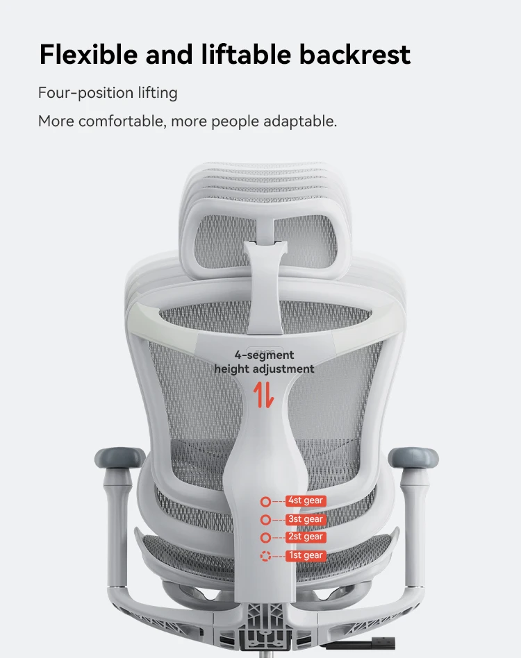 In Stock Mesh C100 Ergonomic Office Chair - Modern & Adjustable