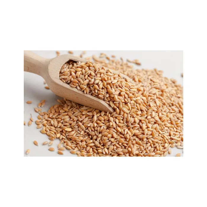 Wheat From Dried Grade 3 Wheat Grain Best Wholesale Price - Buy Premium ...