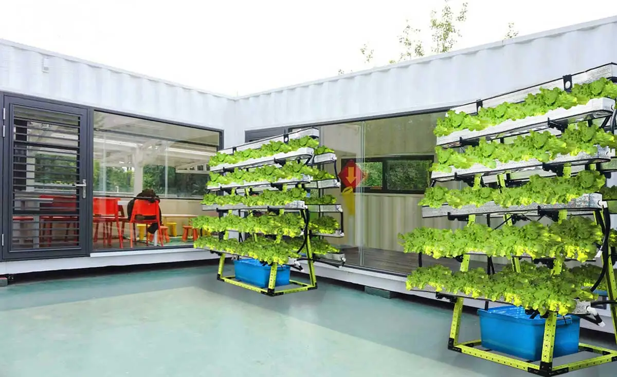 Styrofoam Box For Hydroponics - Buy Vertical Garden Stand For Office ...