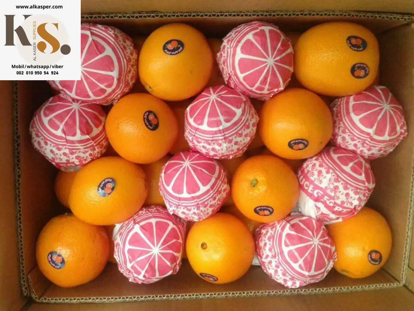 Navel Orange New Crops 2024 - With Best Price - And Best Quality - Buy ...