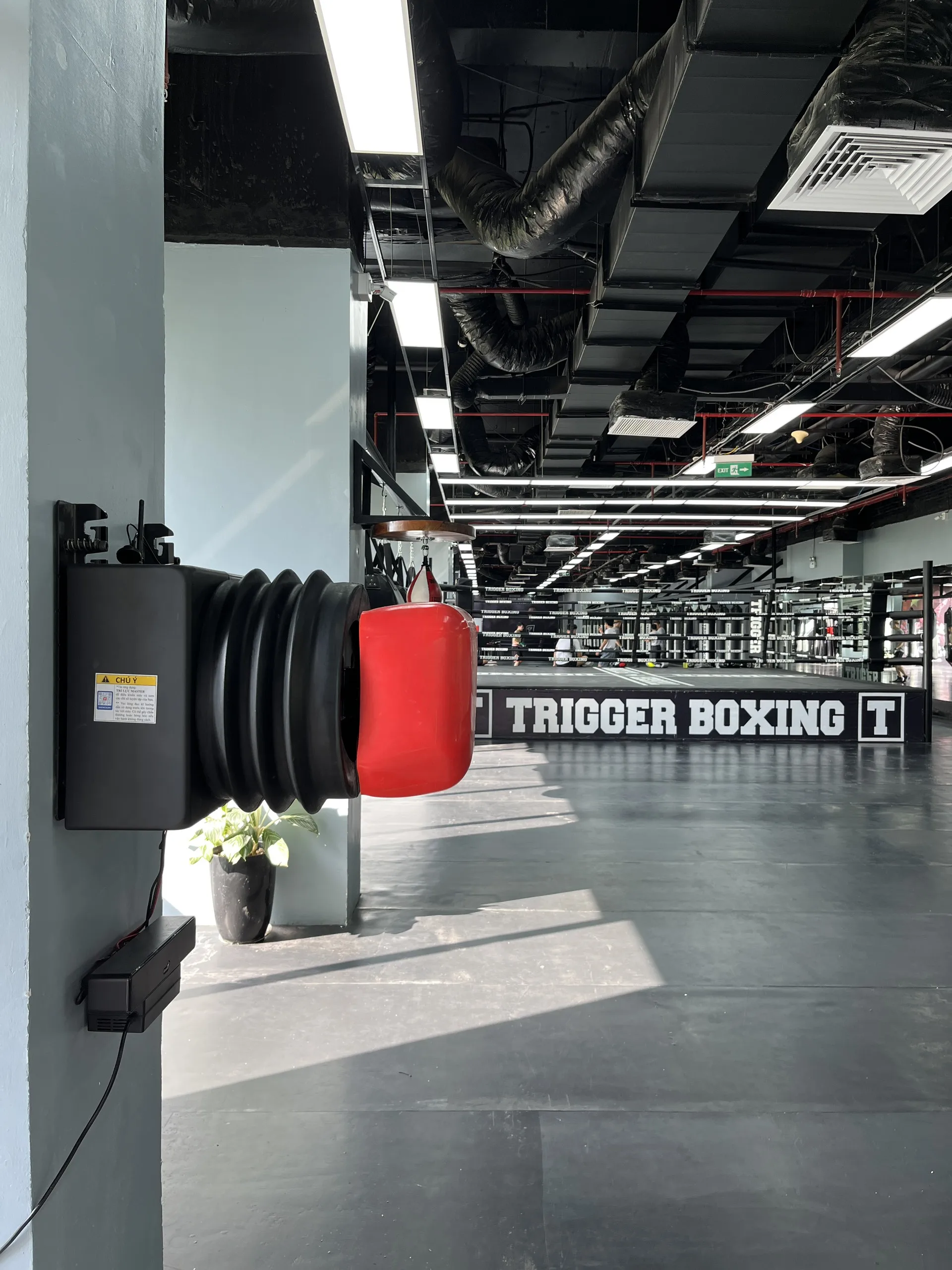 Ai Boxing Set On Champio Tri Luc Master Boxing Training Machine With ...