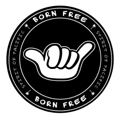 Company Overview - PACIFIC ISLANDS STORE