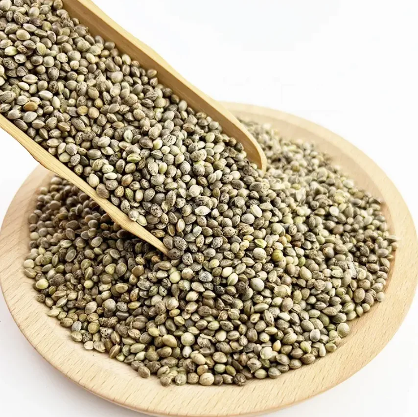 Wholesale Bulk Hemp Seed With Export Hemp Seeds - Buy Hemp Seeds Plant ...