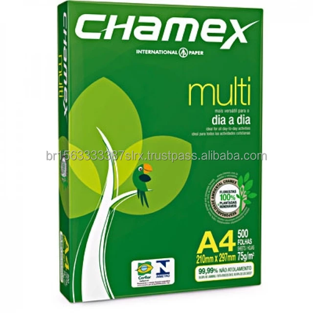 Chamex A4 Copy Paper - 80 GSM, 500 Sheets Per Ream, Ideal for Office ...
