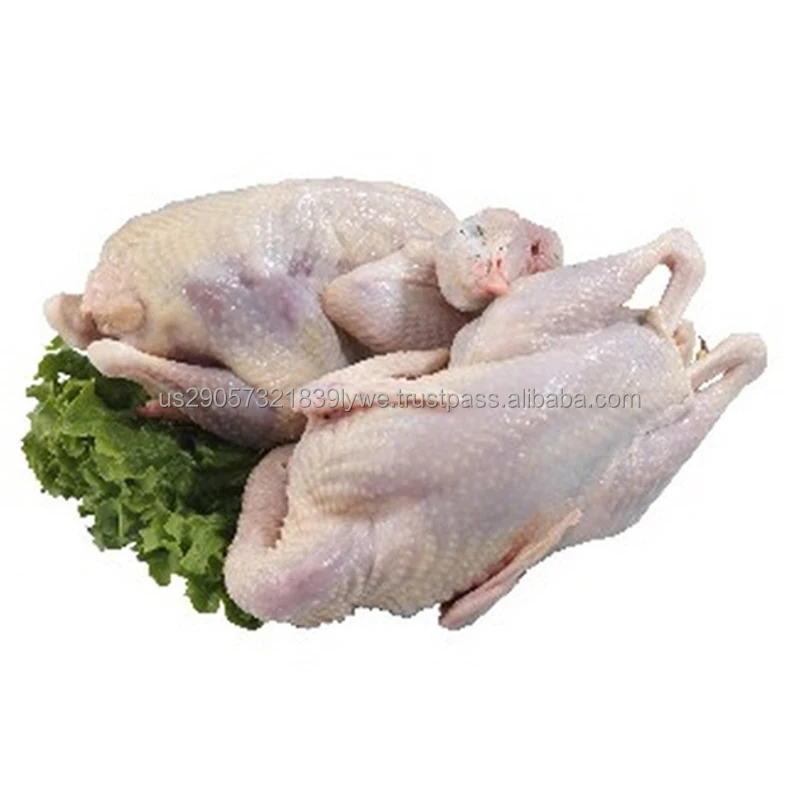 Wholesale Frozen Boneless Skinless Chicken Breasts - Buy Premium Grade ...