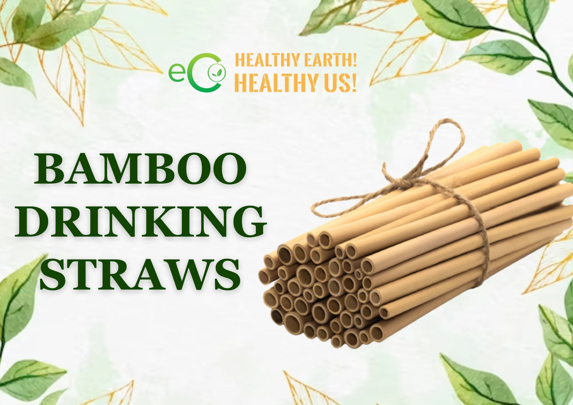 Eco-friendly Bamboo Straws by Eco2go Vietnam - Customizable