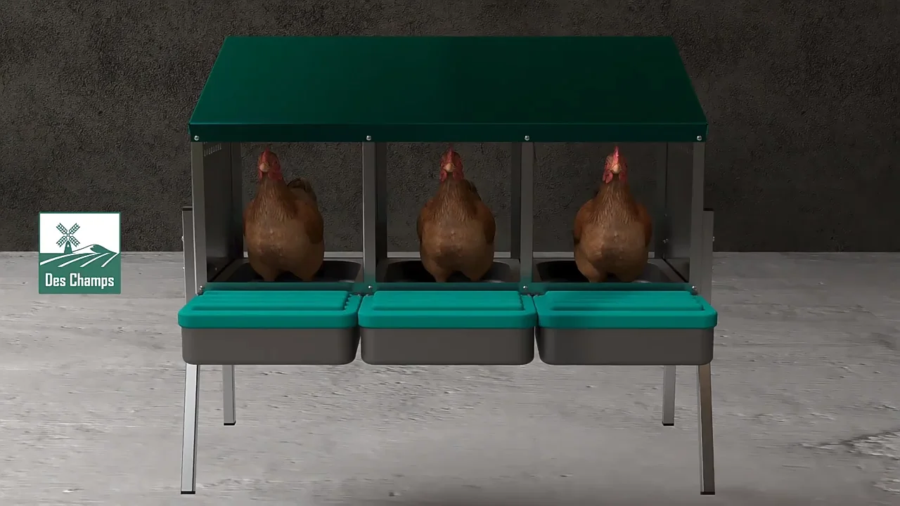 Efficient Egg Management: Des Champs Triple Compartment Nest Box For ...