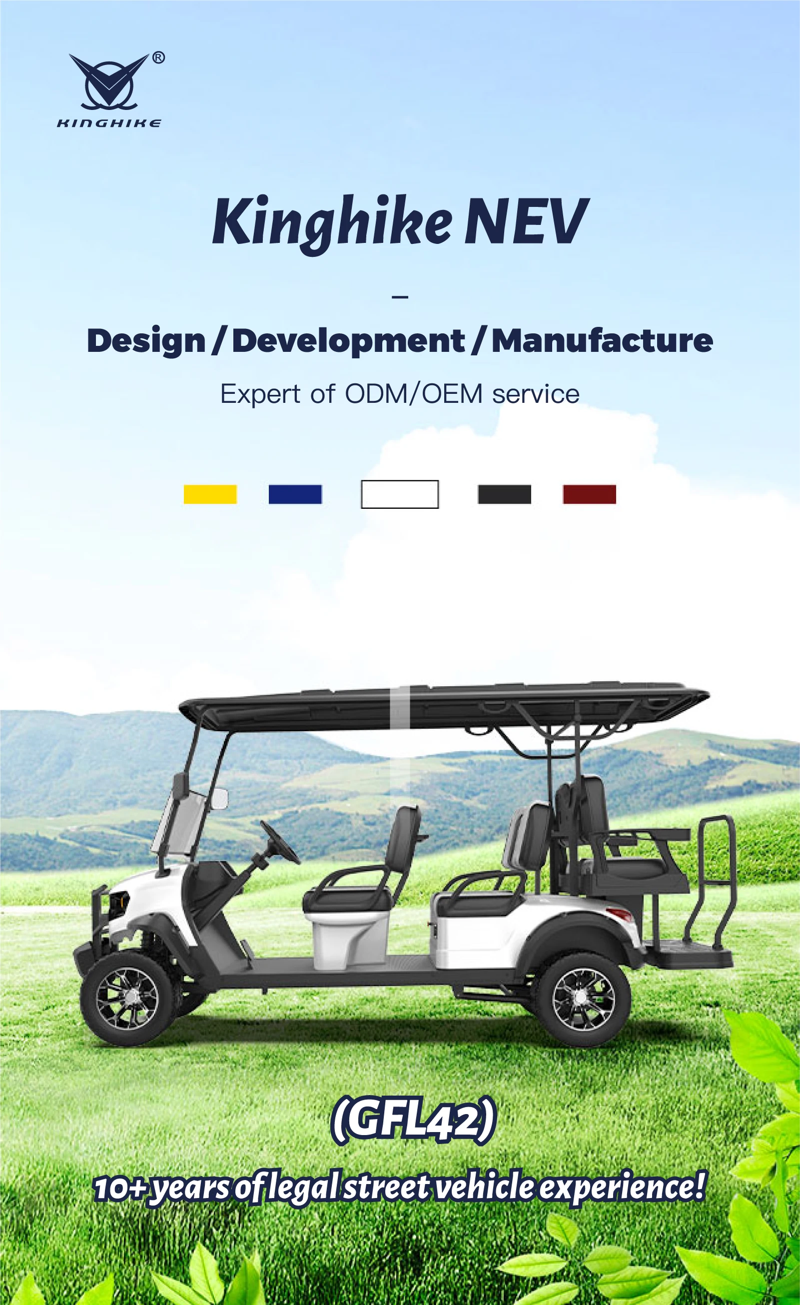 2 Seater Electric Golf Carts Odm Service New Design Front Cover And ...