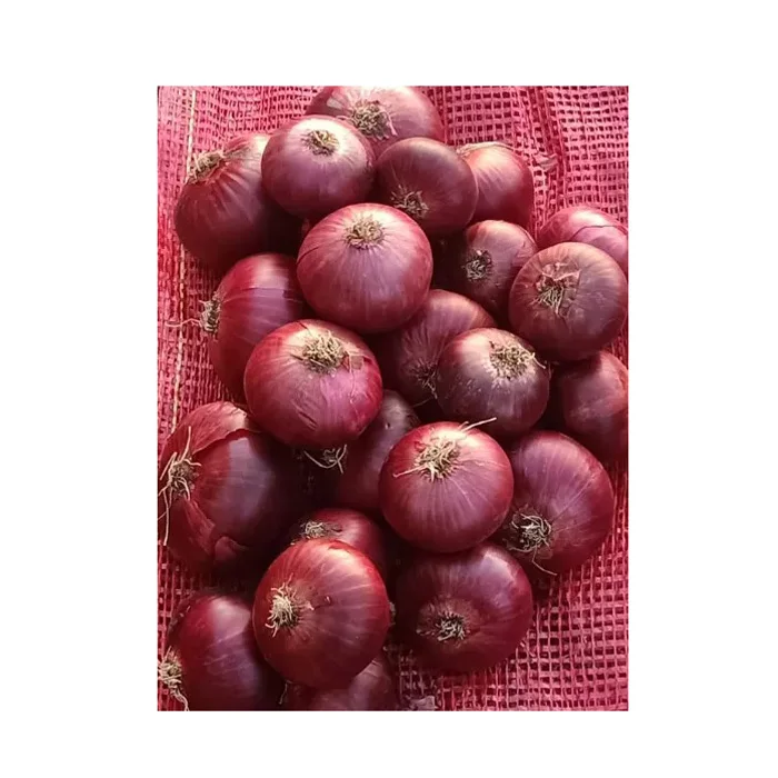 Fresh Egyptian Red Onion For Sale - Buy New Crop 100 Mm Fresh Egyptian ...