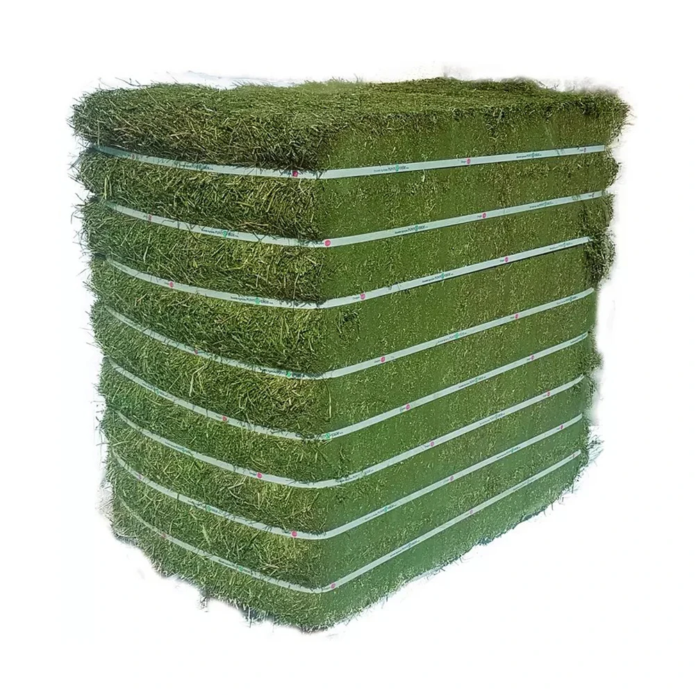 Top Grade Alfafa Hay For Animal Feeding Stuff Alfalfa / Timothy ...