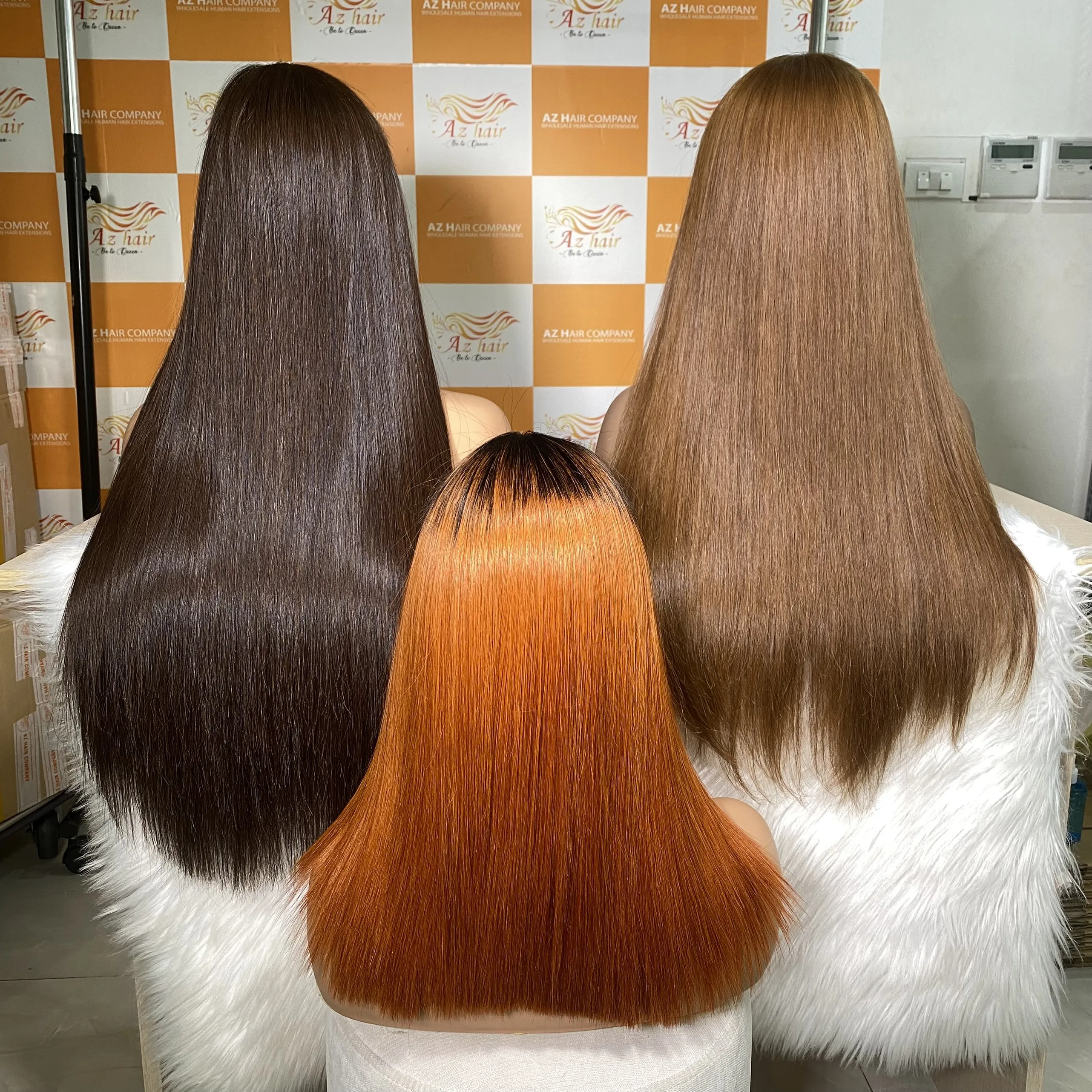 Vietnam Human Hair Wigs - Natural, Silky, and Versatile