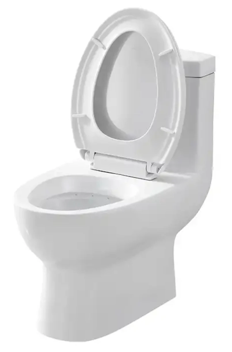 One Piece Ceramic Floor Mounted Toilet Bowl Aria Water Closet Complete ...