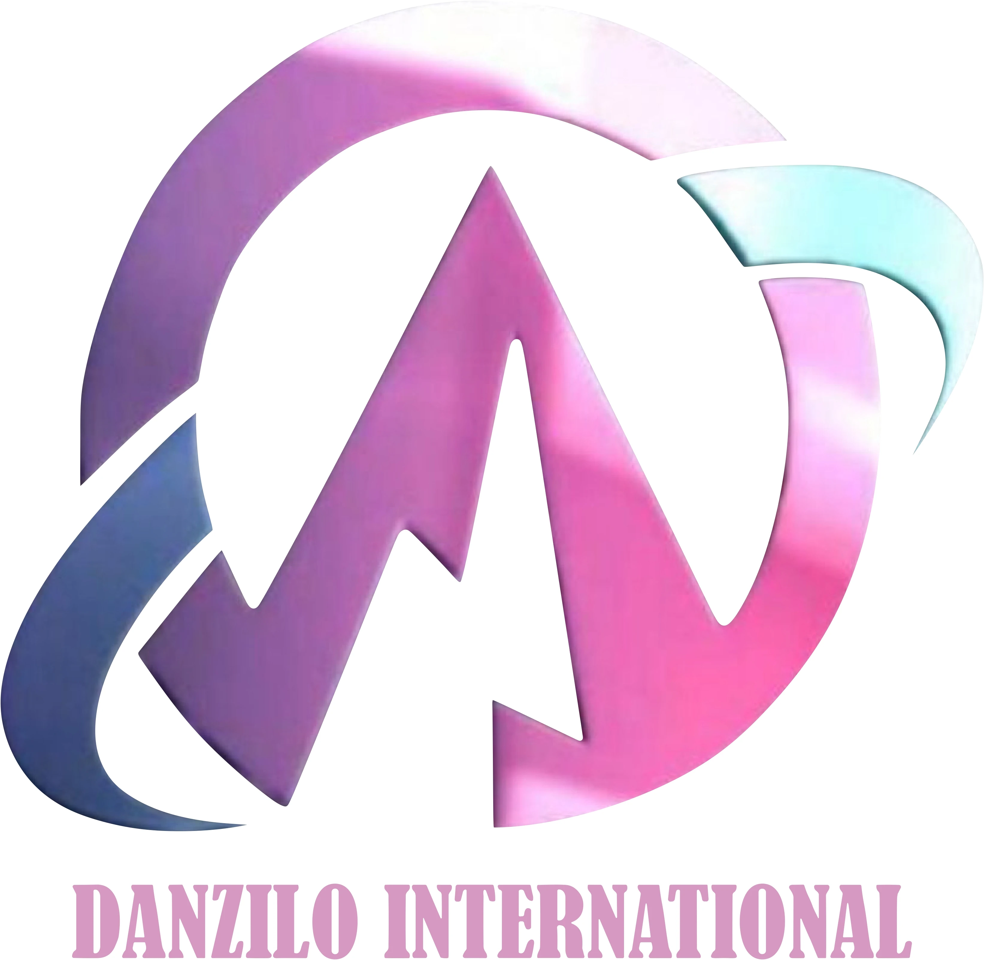 Company Overview - DANZILO INTERNATIONAL