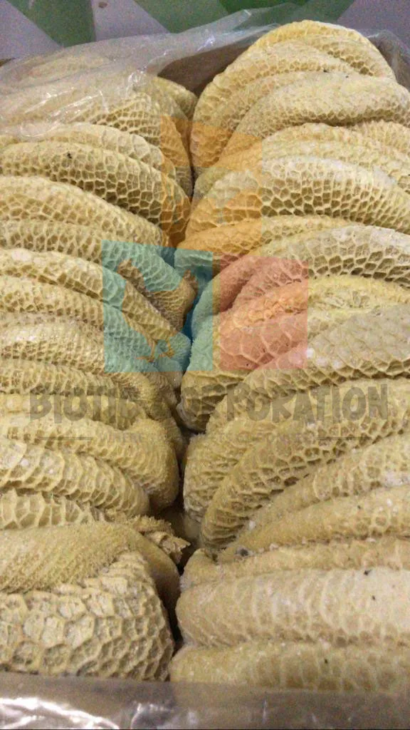 Beef Tripe With Honeycomb Available To Export Hongkong And Vietnam Port ...