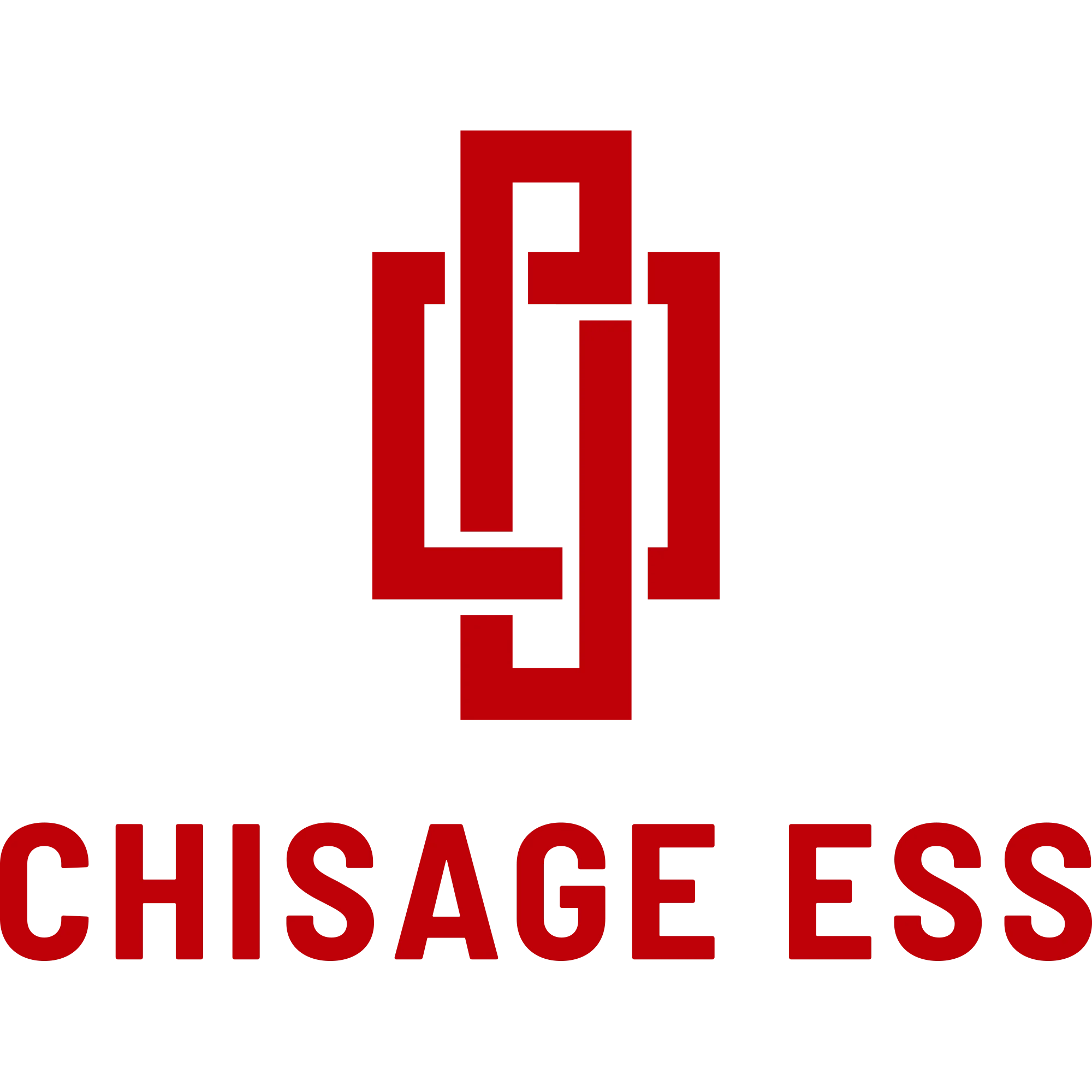 Company Overview - Ningbo Chisage Ess Technology Co., Ltd.