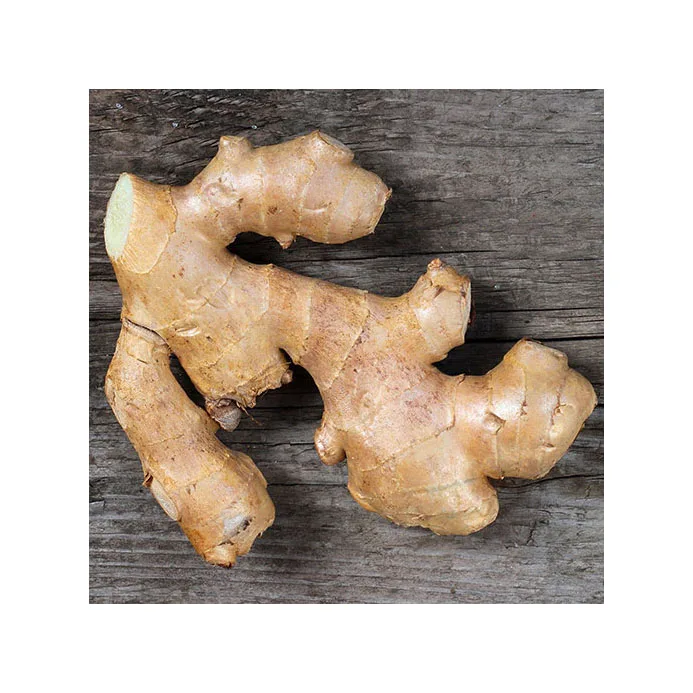 Fresh Ginger With 100% Natural Ginger From Hot Sale Root Market Fresh ...