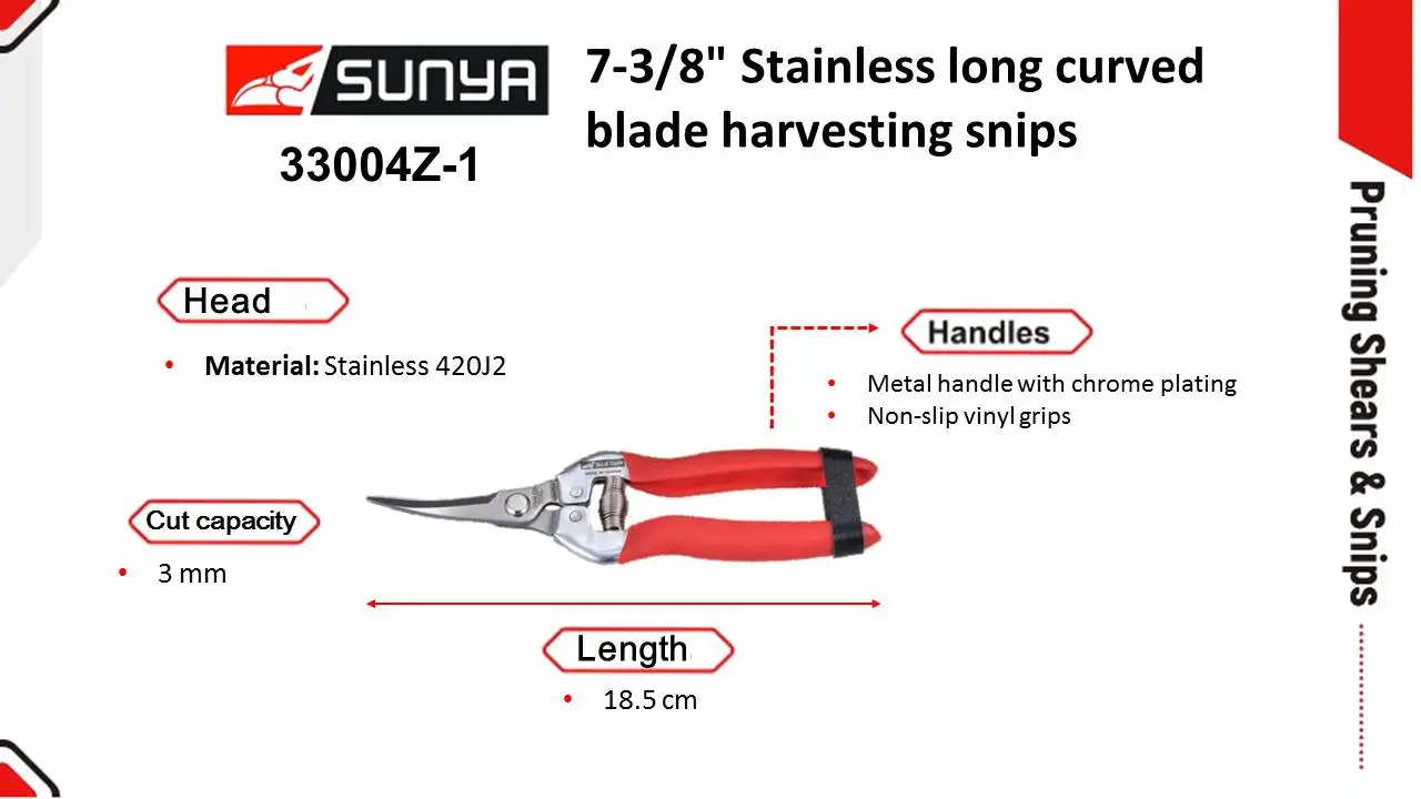 18.5cm Stainless Steel Curved Blade Grapes Scissor - Buy Grapes Scissor ...