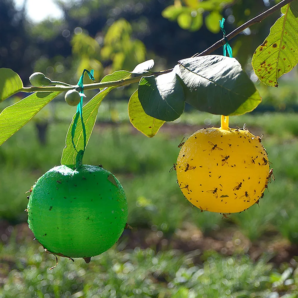 Hanging Fly Trap Ball Insect Fruit Fly Killer Bee Wasp Catcher Repeller ...