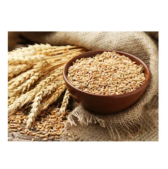 Wheat From Dried Grade 3 Wheat Grain Best Wholesale Price - Buy Premium ...