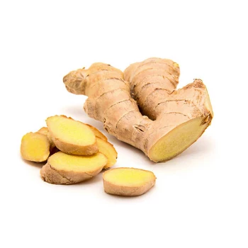 Fresh Ginger For Ginger Fresh Best Quality In Carton Professional ...