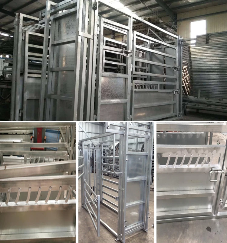 Portable Cattle Crush with Weighing Scale – Heavy-Duty Livestock ...