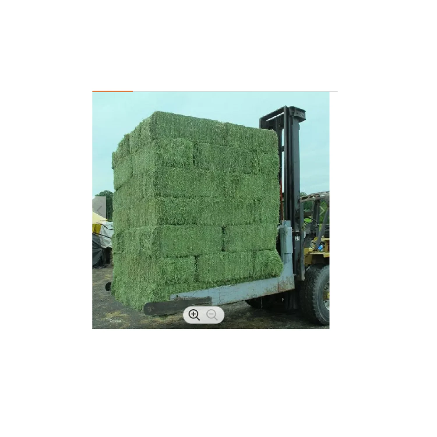 Feed Grade Animal Max Alfalfa hay Lucerne 1%max Admixture Feed Timothy ...