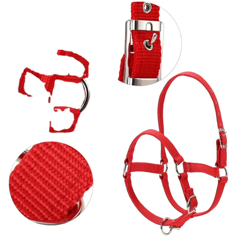 Top Quality Horse Harness Leather Harness Bridle With Metal Buckle With ...