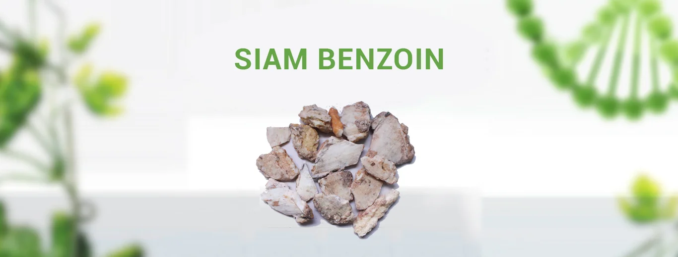 Hot Deal Siam Benzoin Gum - Best Natural Raw Material For Fragrances ...