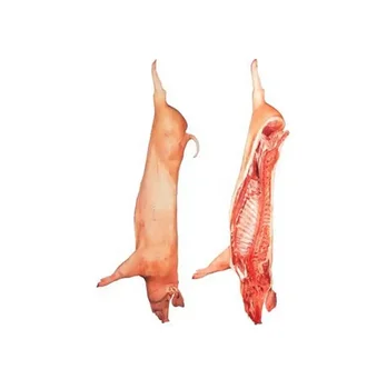 Bulk Stock Available Of Frozen Pork Half / Full Carcass | Frozen Pork ...