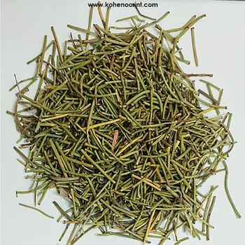 Ephedra ~ Ephedra Sinica Ma Huang Herbs - Buy Ephedra,Ephedra Herb ...